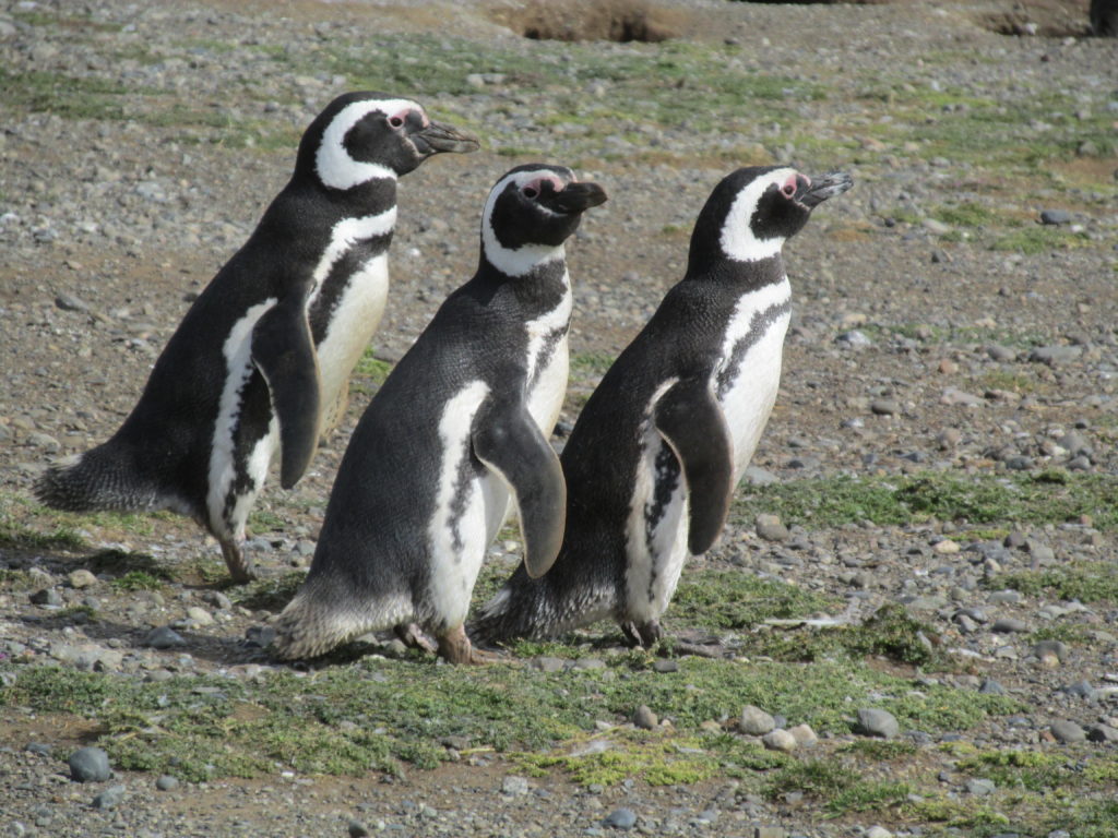 5 things learned from living in Chile-Part Two