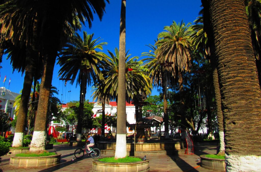 BOLIVIAN WINE COUNTRY AT TARIJA